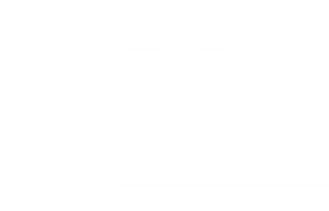 Das WSW Team ist die Basis des Erfolgs und unsere größte Stärke